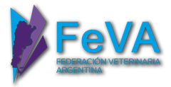 Conocé las acciones destacadas del 2021 – Feva