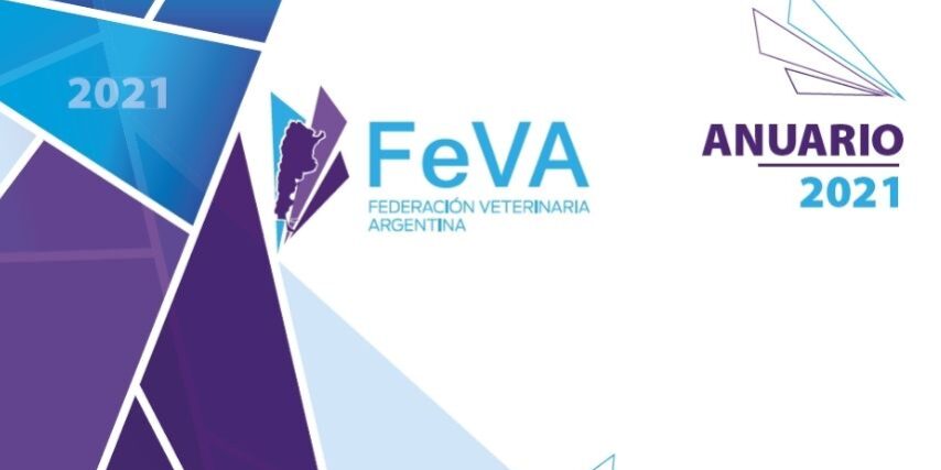 Conocé las acciones destacadas del 2021 – Feva